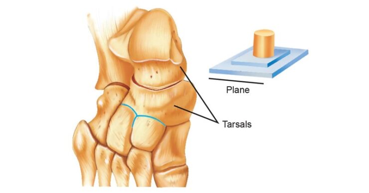 Relieve Joint Pain: Exploring The Benefits Of Wrist Braces And Supports ...